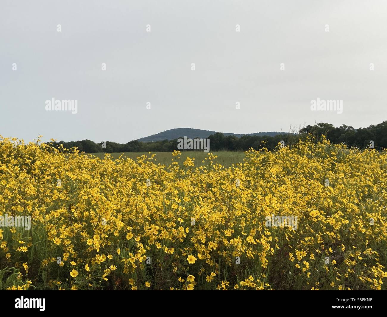 Oklahoma spring hi-res stock photography and images - Alamy
