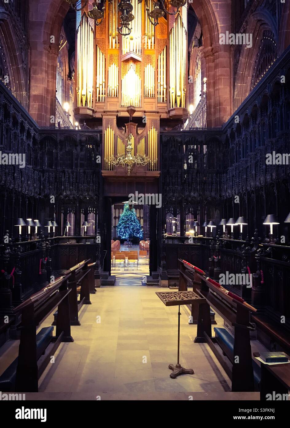Cathedral and christmas tree hi-res stock photography and images - Alamy