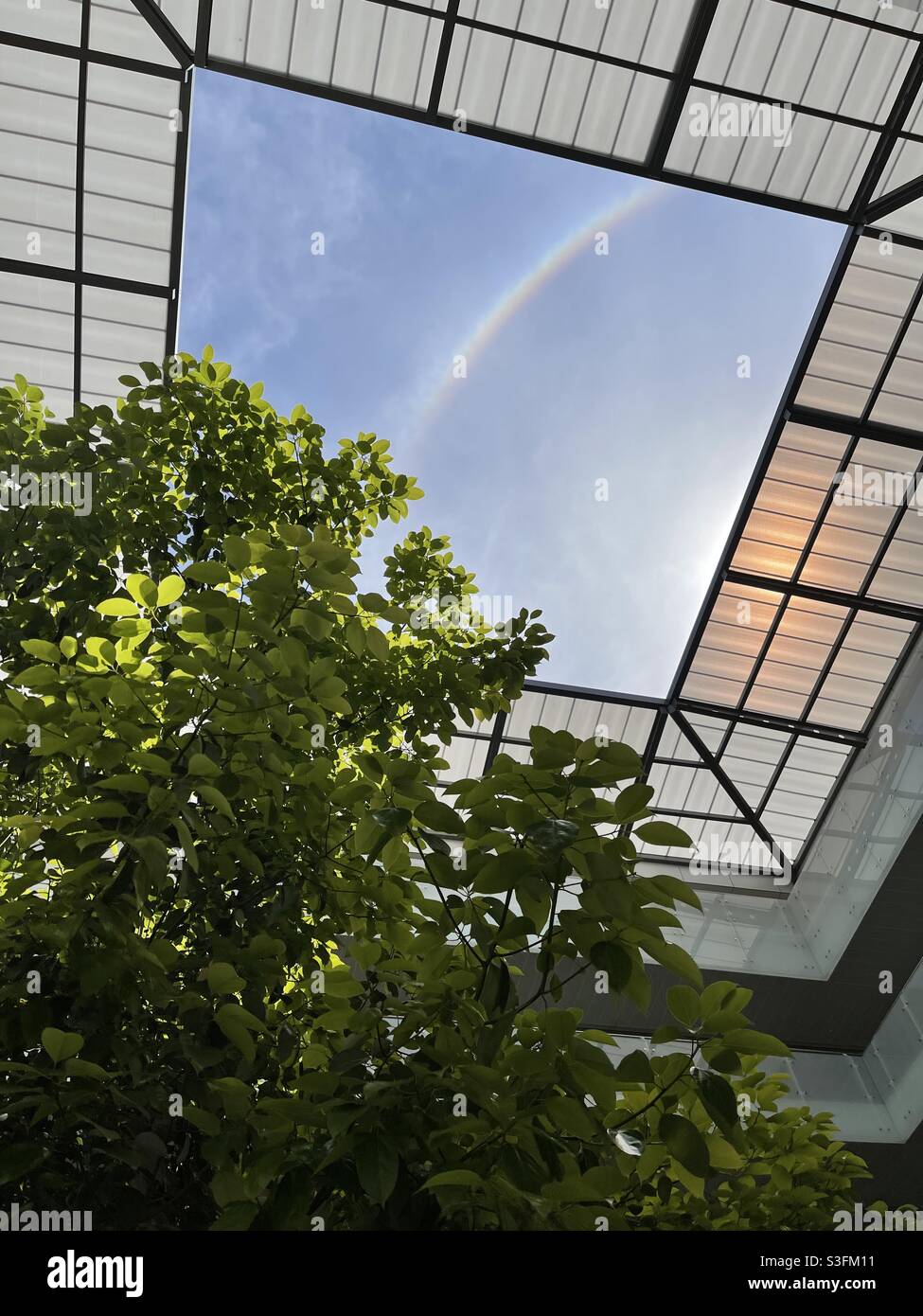 Square open sky courtyard or atrium in a white building in Montpellier ...