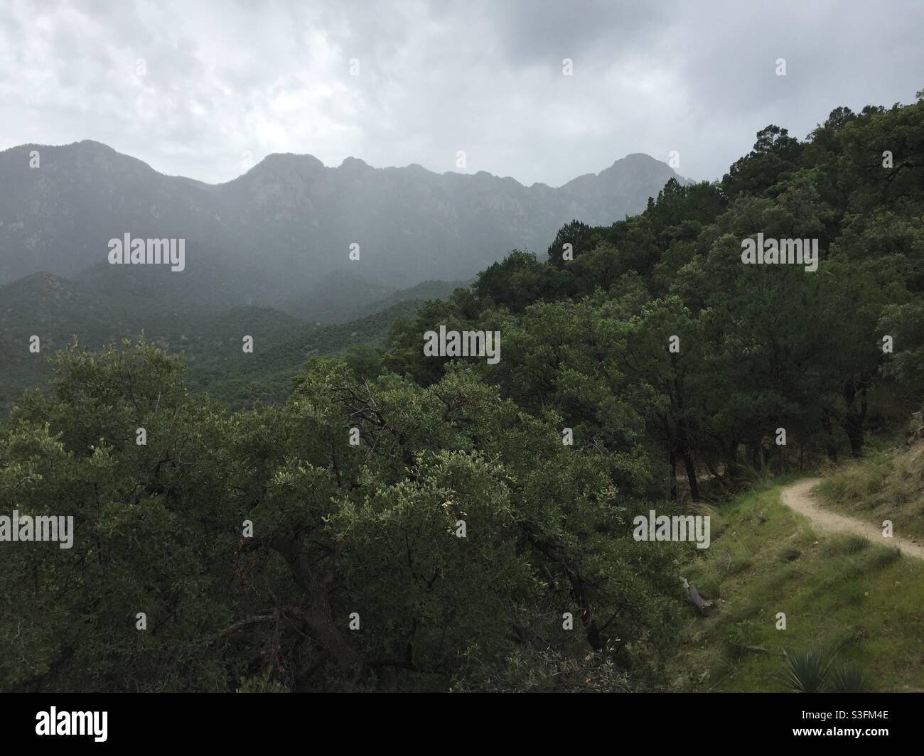 Rain making hi-res stock photography and images - Alamy