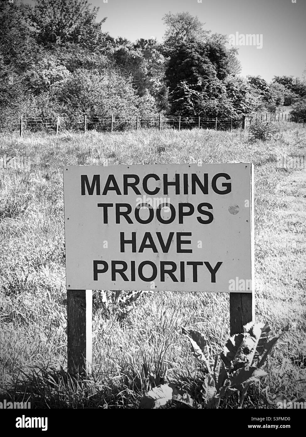 Marching troops hi-res stock photography and images - Alamy