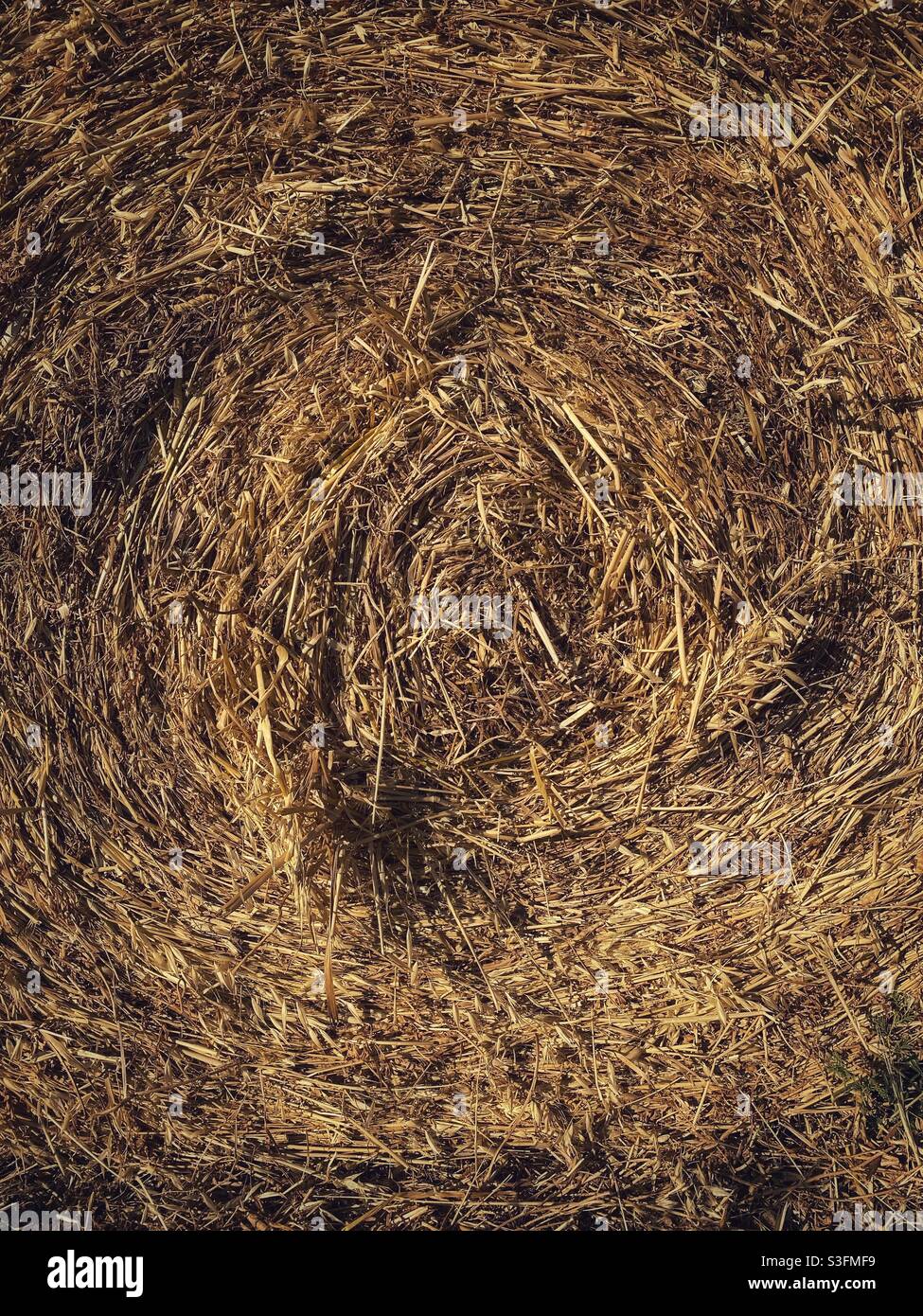 Texture haystack hi-res stock photography and images - Alamy