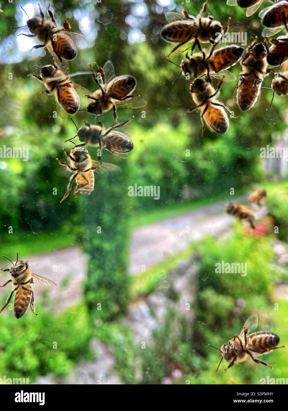 Flying keeper hi-res stock photography and images - Alamy