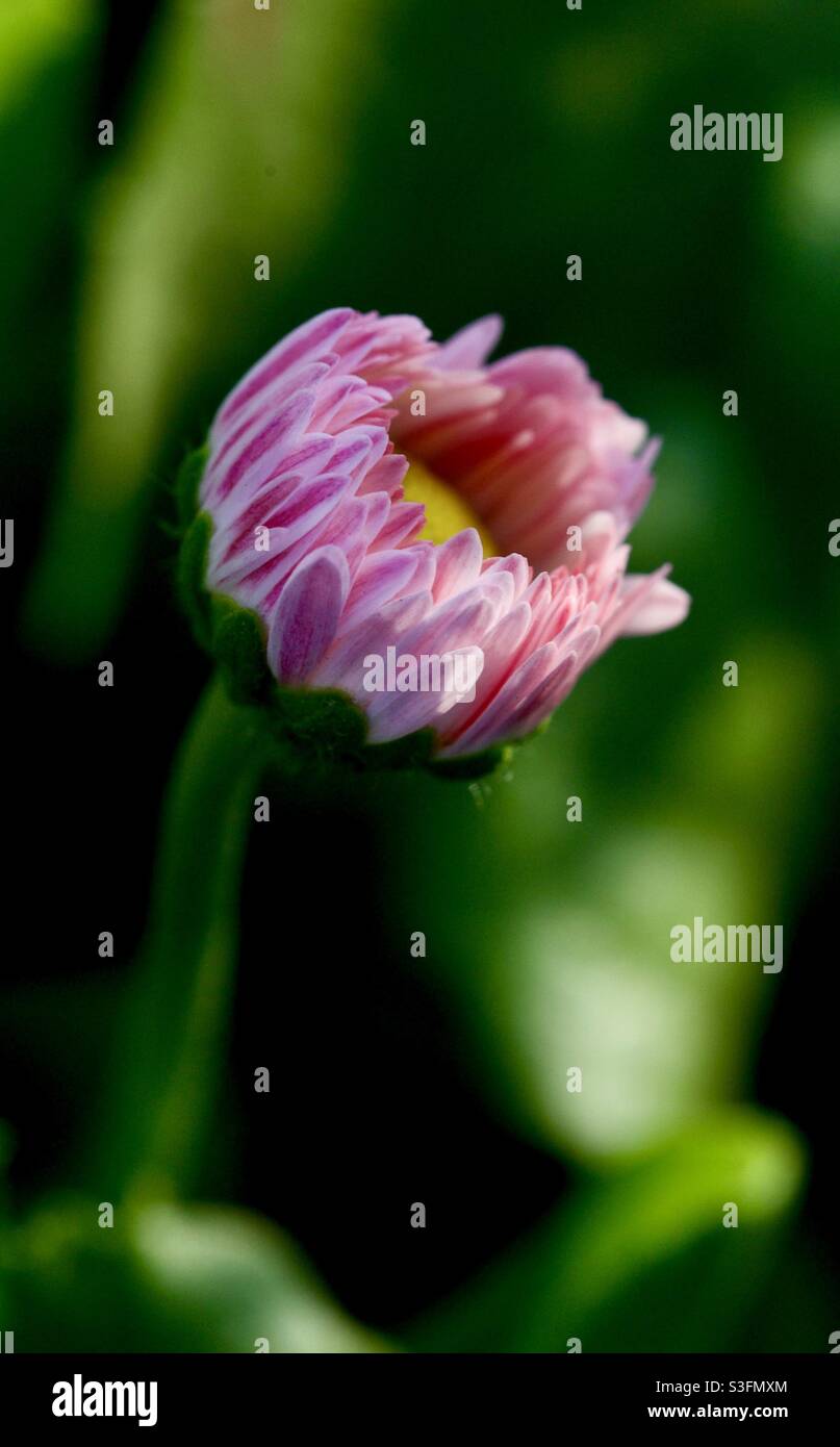 Greetings calendar hi-res stock photography and images - Alamy