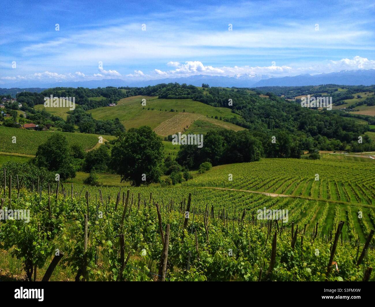 Landscape of the Jurançon vineyard, Béarn, France Stock Photo - Alamy