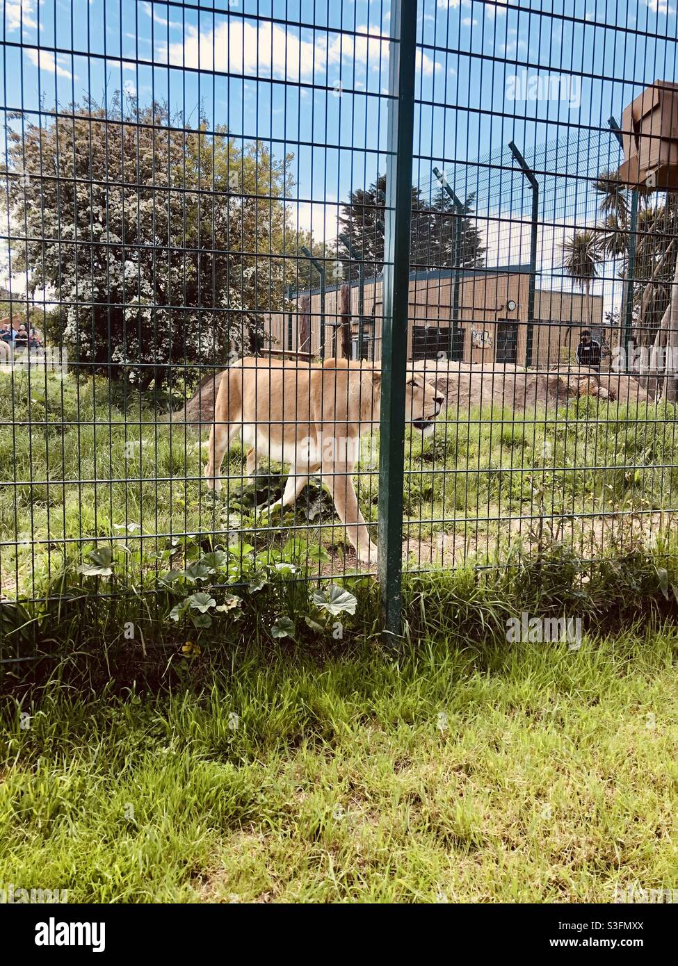 Zoo animal sanctuary hi-res stock photography and images - Alamy