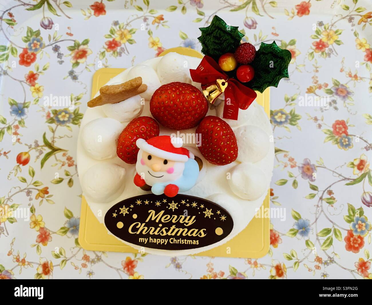 Traditional Japanese Christmas Cake