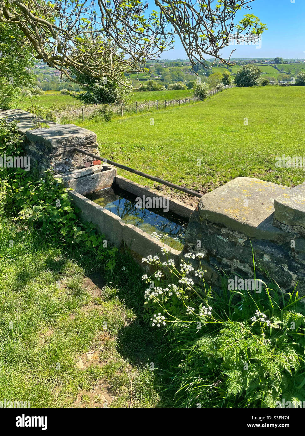 Water trough stone hi-res stock photography and images - Alamy