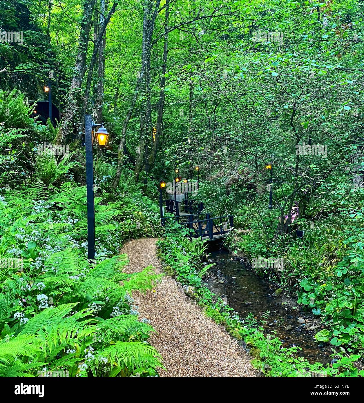 The shanklin chine Stock Photo - Alamy