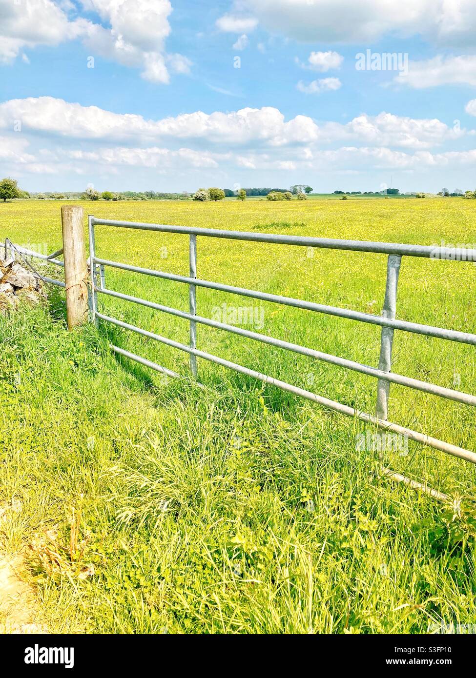Gate in the field hi-res stock photography and images - Alamy