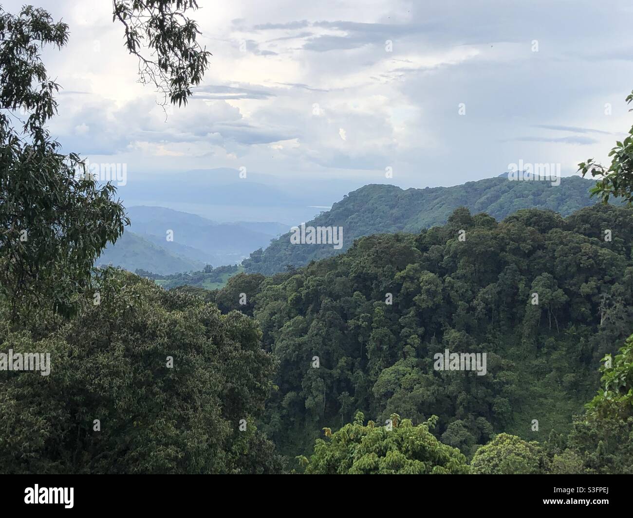 Beautiful nature view Stock Photo - Alamy