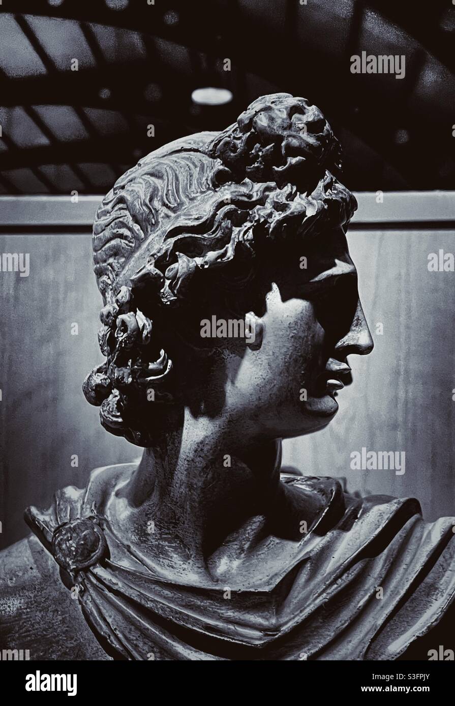 The look of indifference! Stock Photo - Alamy