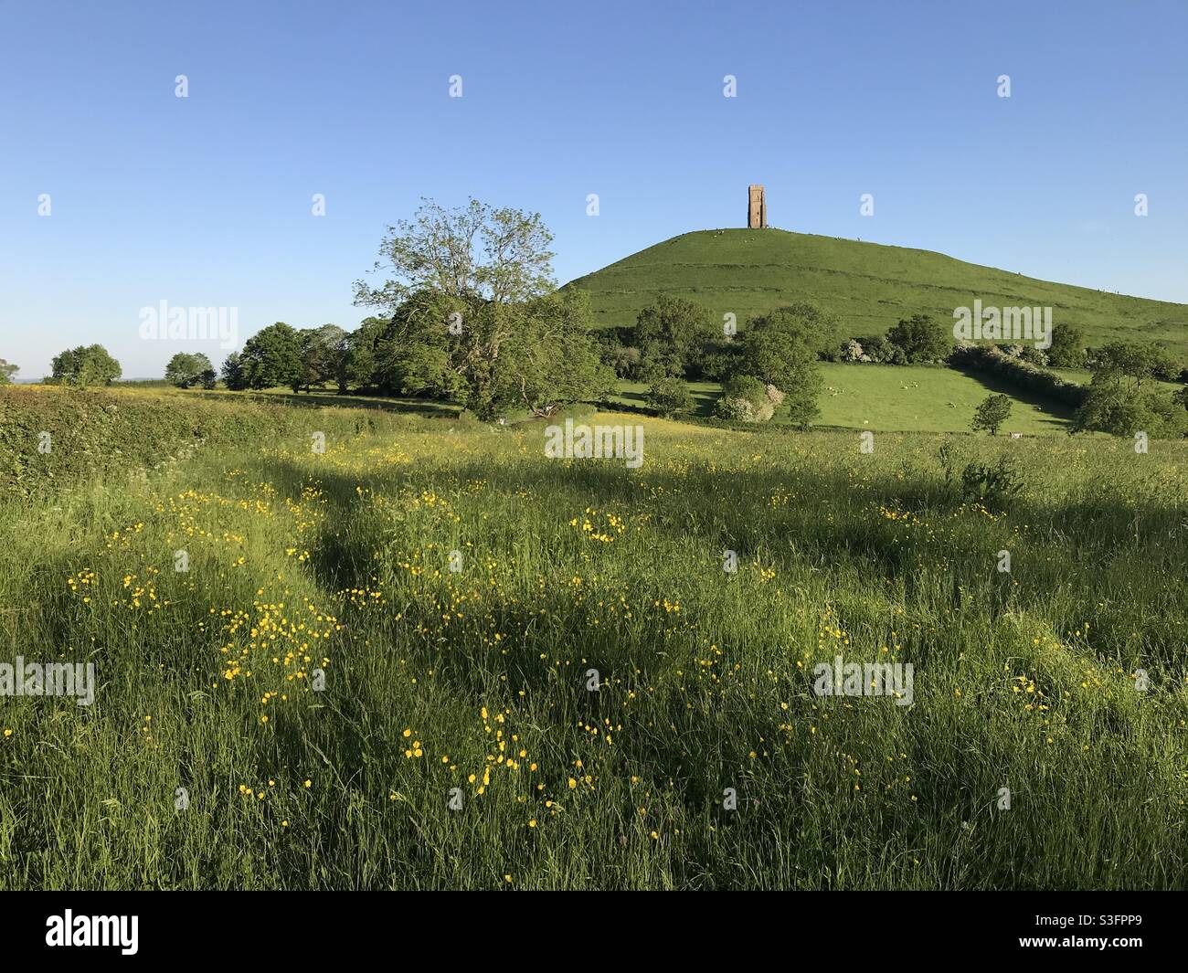 Tor glastonbury spring hi-res stock photography and images - Alamy