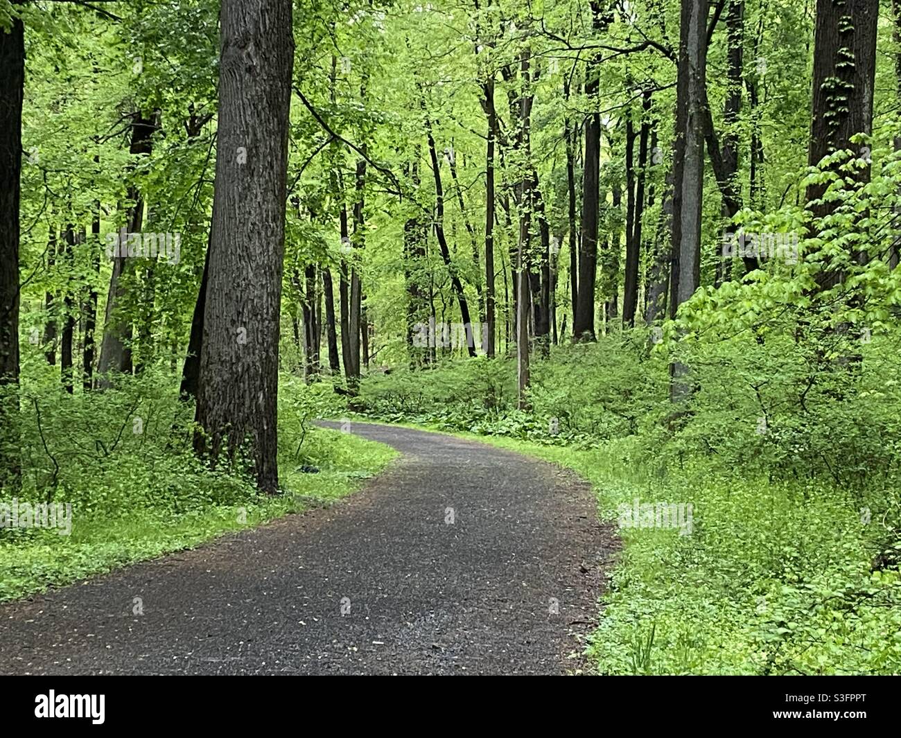 Carriage road trails Stock Photo - Alamy