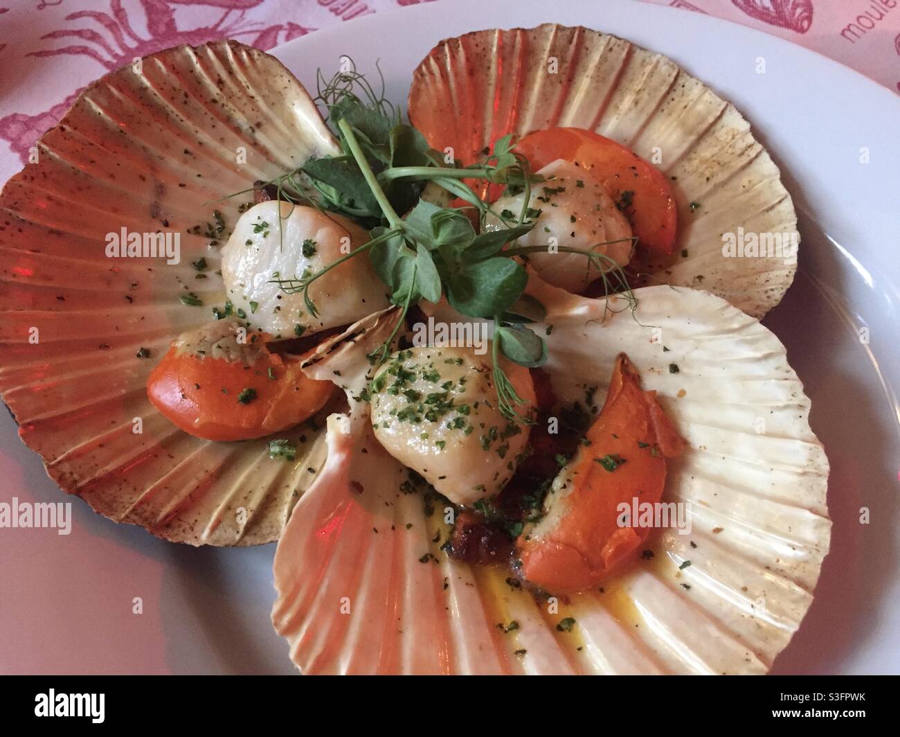 Scallops fine dining hi-res stock photography and images - Alamy