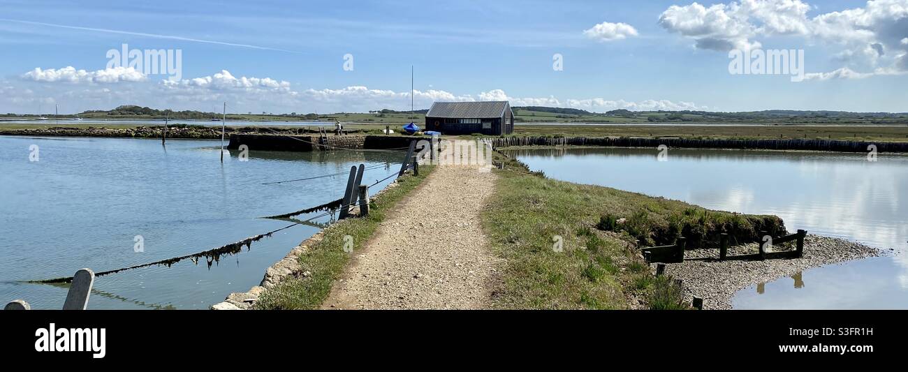 Newtown nature reserve. Isle of Wight Stock Photo - Alamy