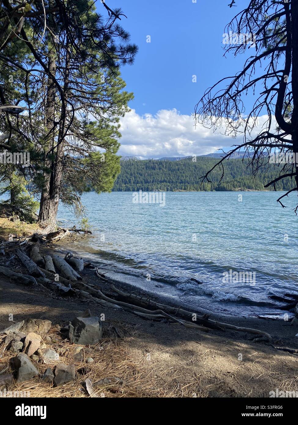 Rimrock lake washington hi-res stock photography and images - Alamy