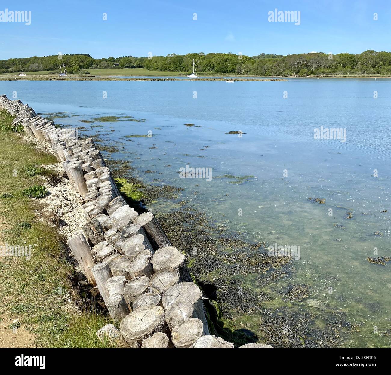 Newtown nature reserve. Isle of Wight Stock Photo - Alamy