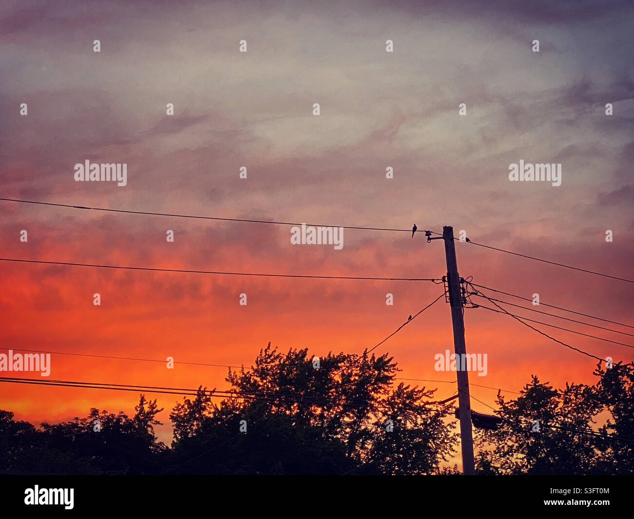 Beautiful june hi-res stock photography and images - Alamy