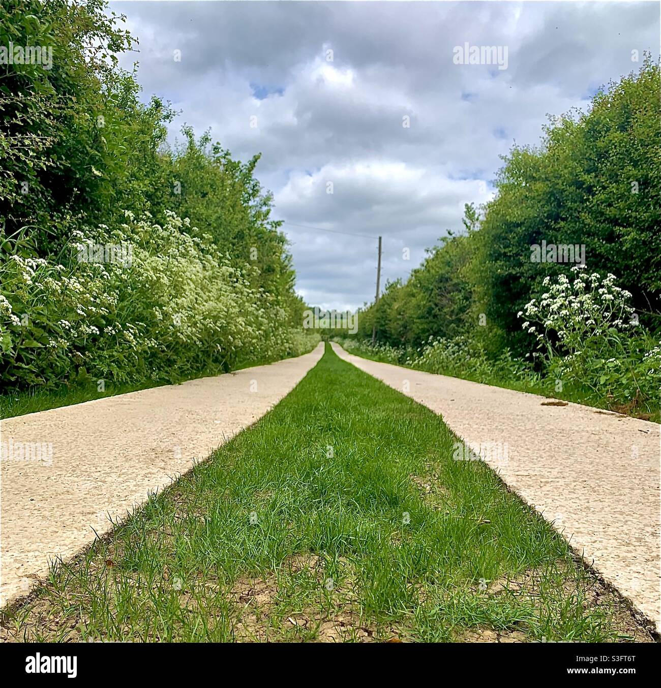 Diverging path hi-res stock photography and images - Alamy