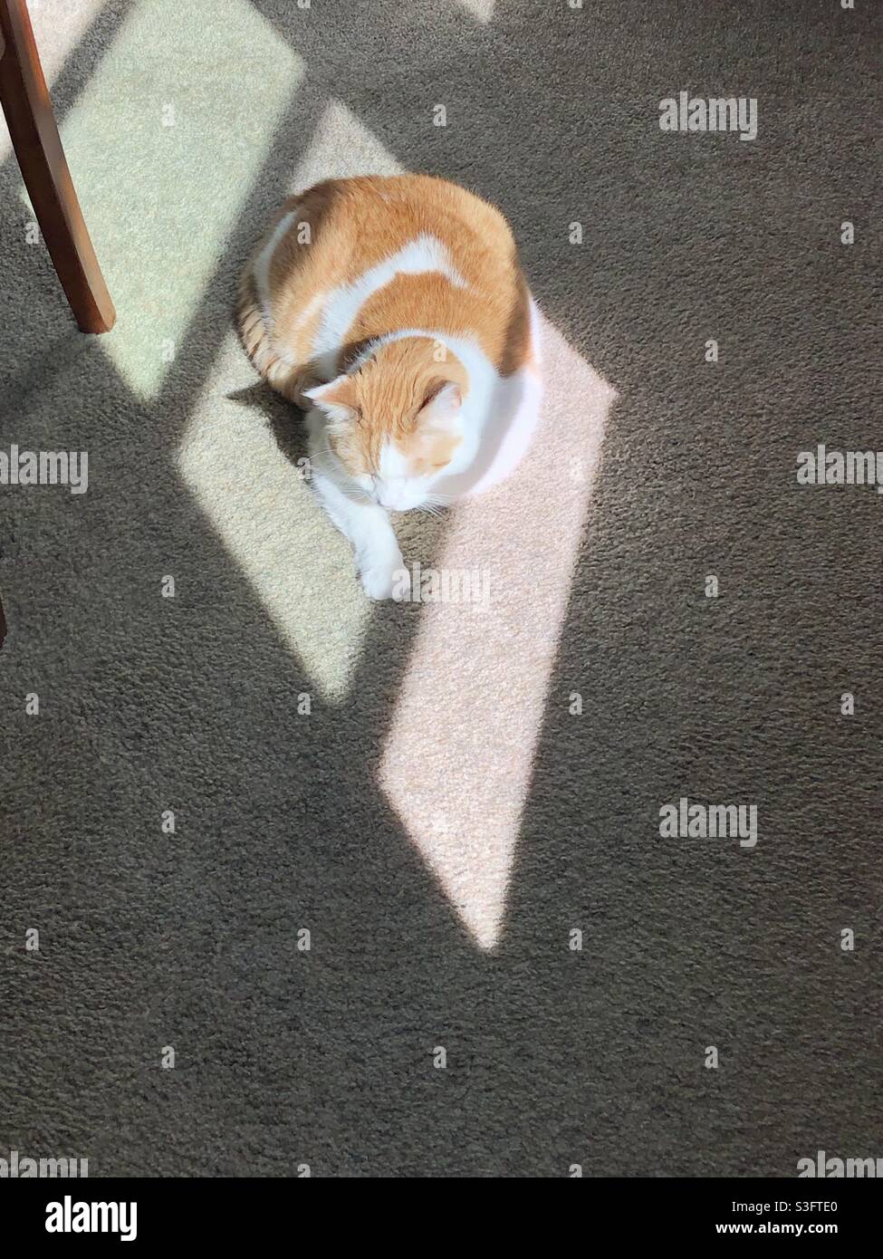 Sleep sunshine hi-res stock photography and images - Alamy