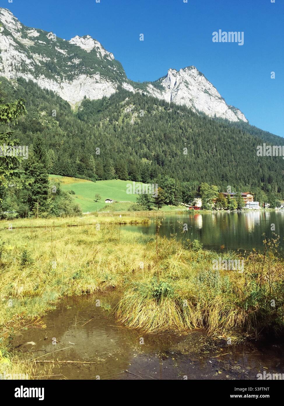 Bavarian landscape with lake and mountains Stock Photo - Alamy