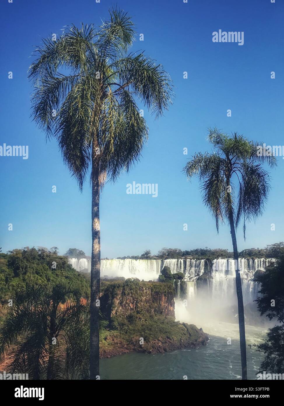 Iguazu Falls viewed through Palm trees , Argentina side Stock Photo - Alamy