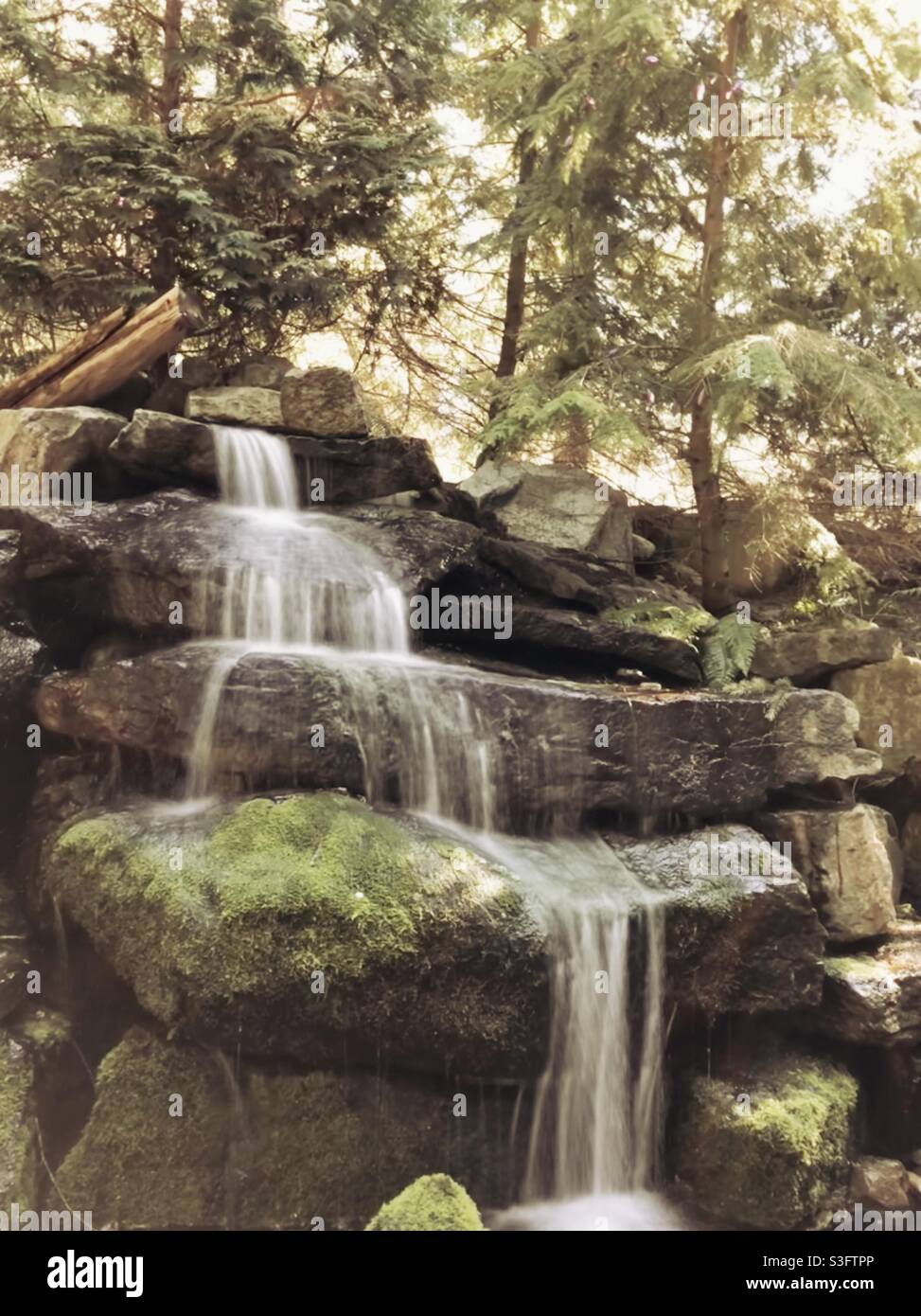 Capilano park hi-res stock photography and images - Alamy