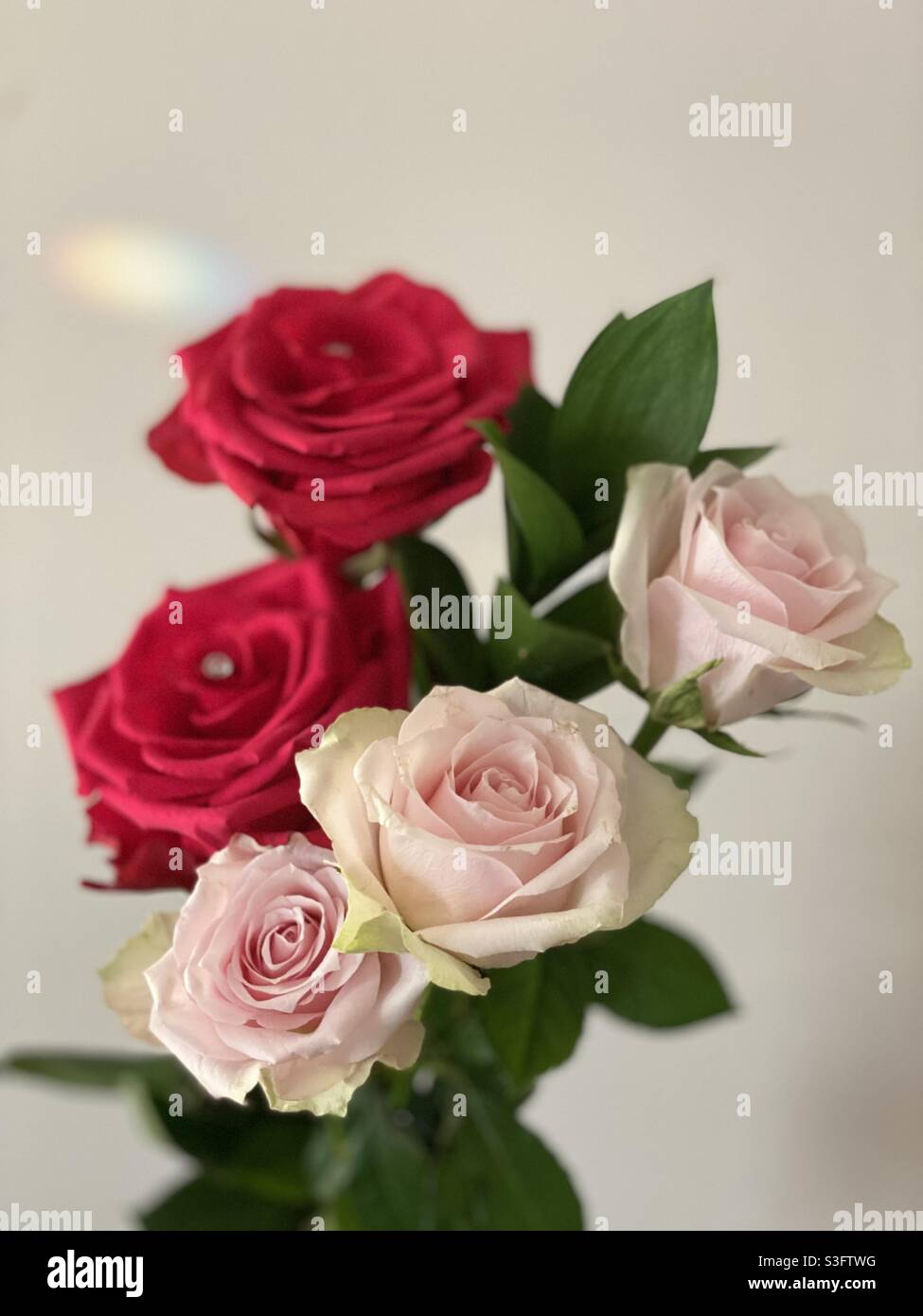Rose bouquet hi-res stock photography and images - Alamy