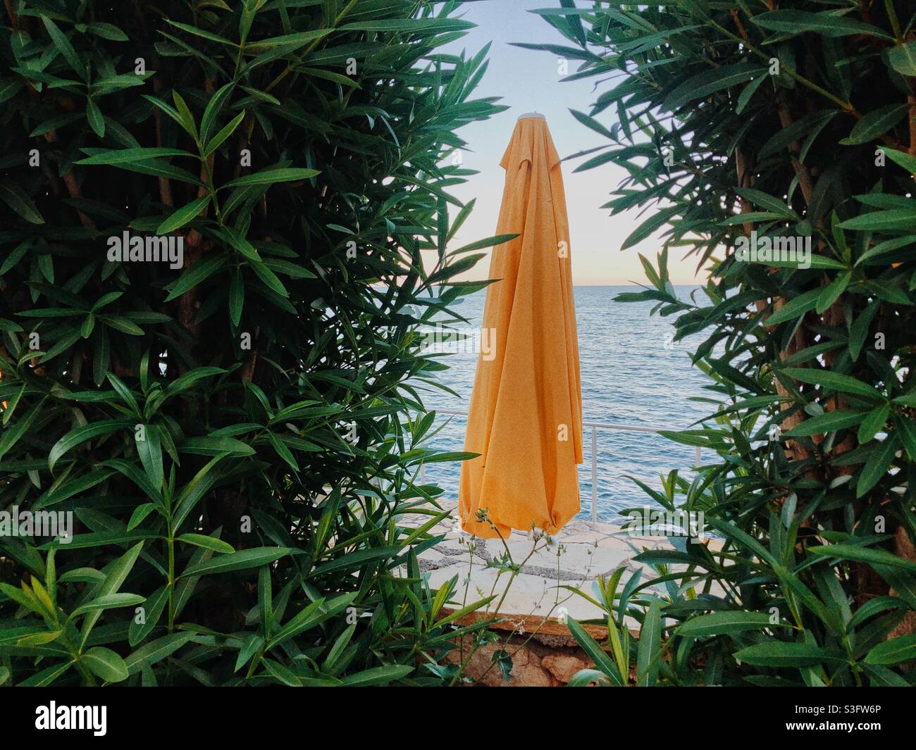 Yellow beach brolly seen amongst green foliage by the sea Stock Photo ...