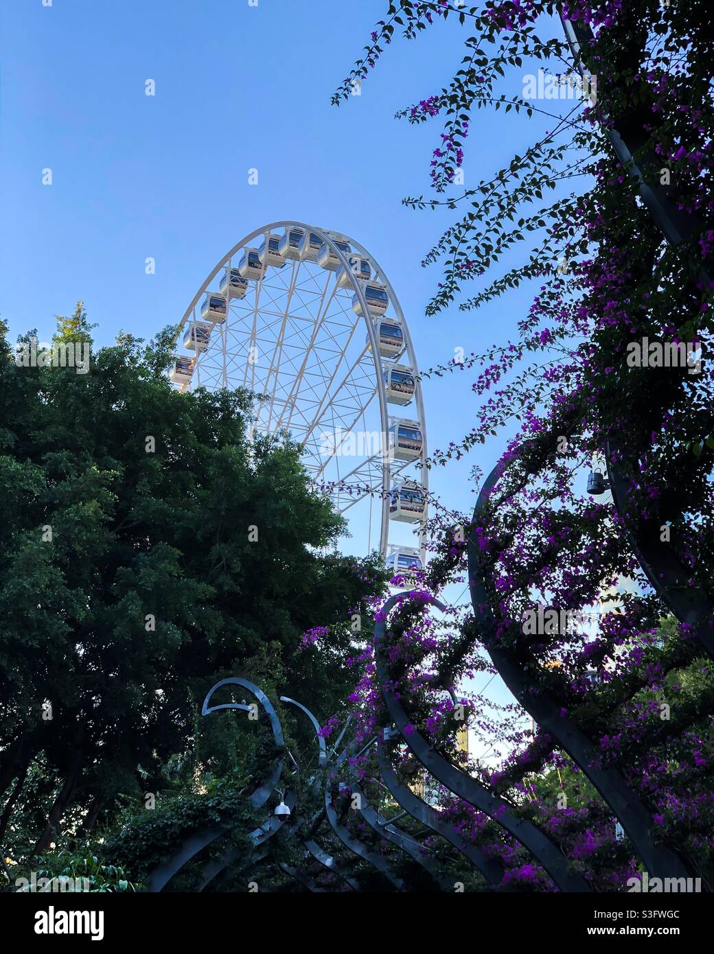 Wheel of Brisbane Stock Photo - Alamy