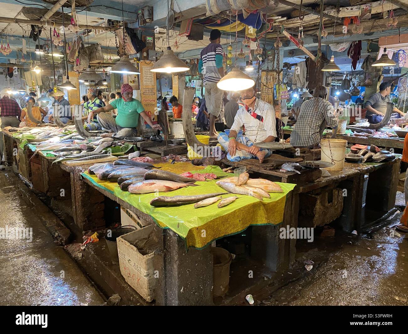 Retail Fish market of Bengal,India Stock Photo - Alamy