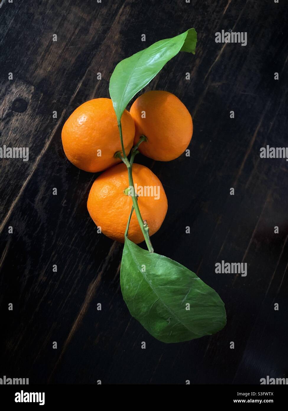 Green satsuma hi-res stock photography and images - Alamy