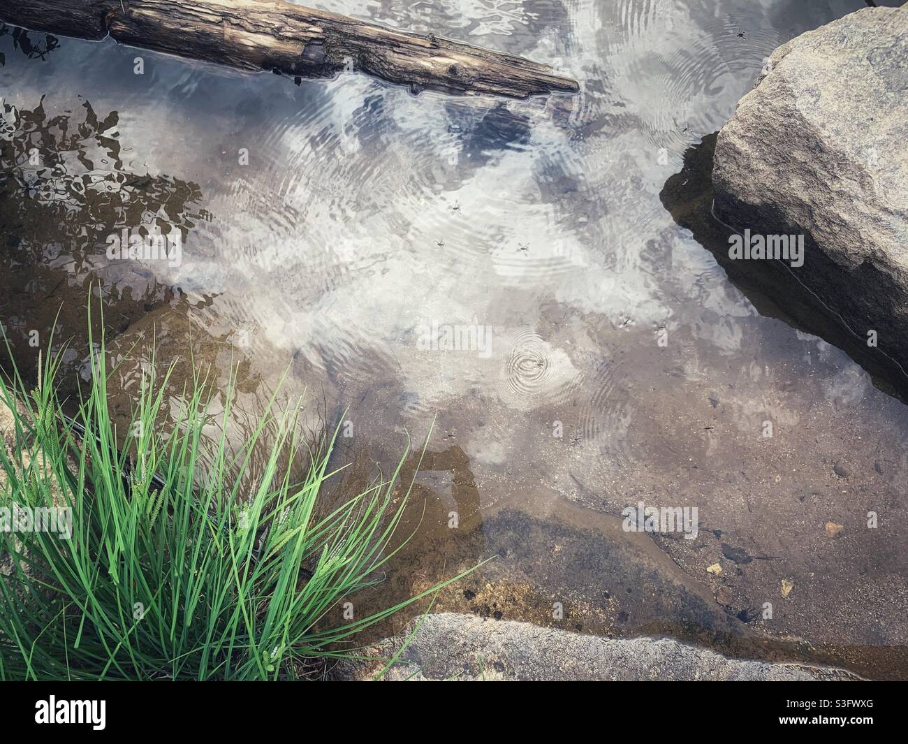 Reflection in pond hi-res stock photography and images - Alamy