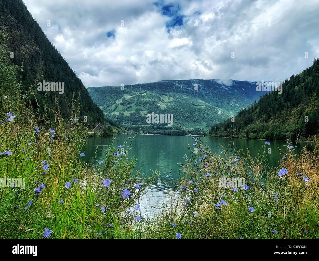 Mountains and water with wildflowers at Three Valley Gap, British ...