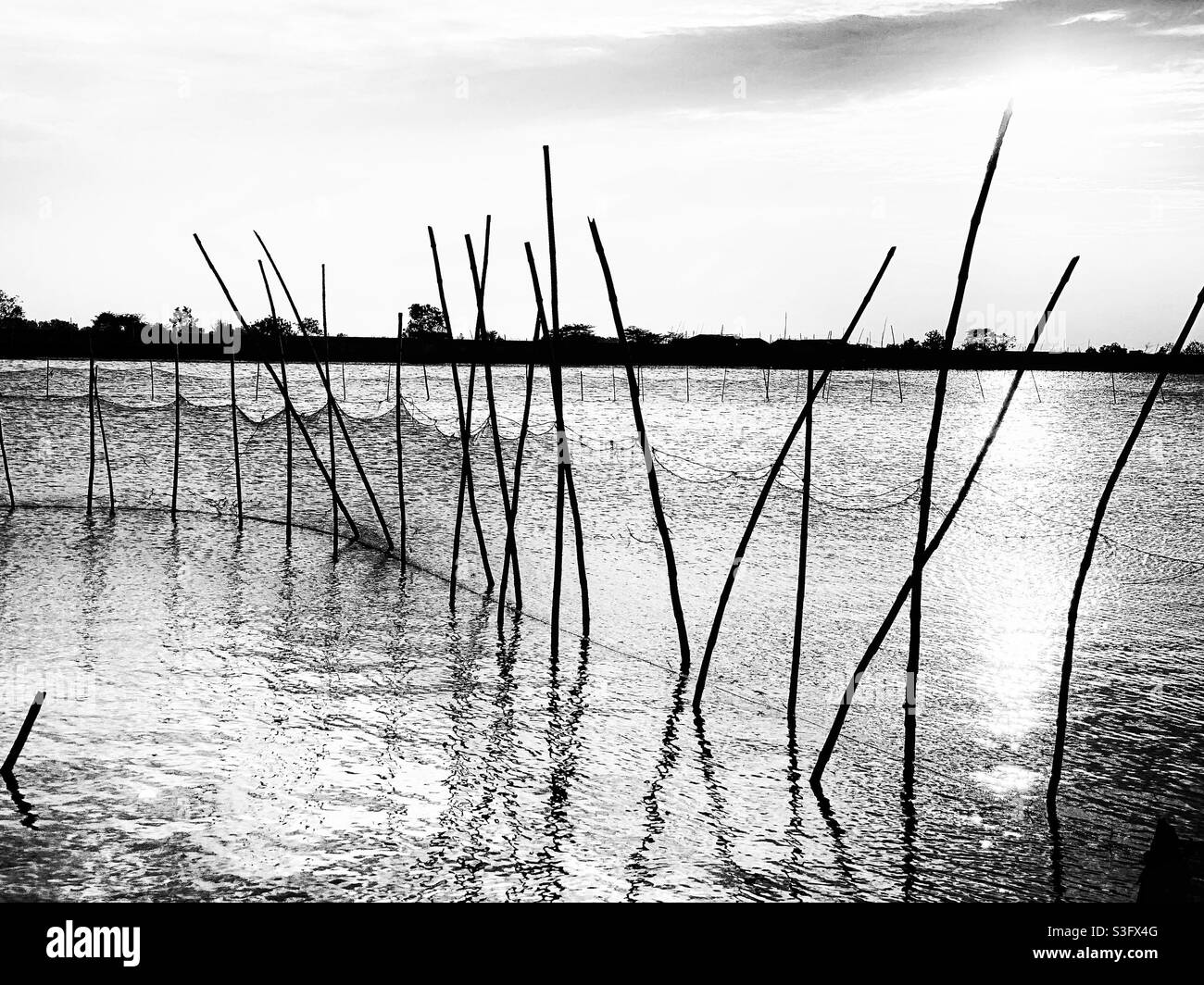 Fish cages hi-res stock photography and images - Alamy