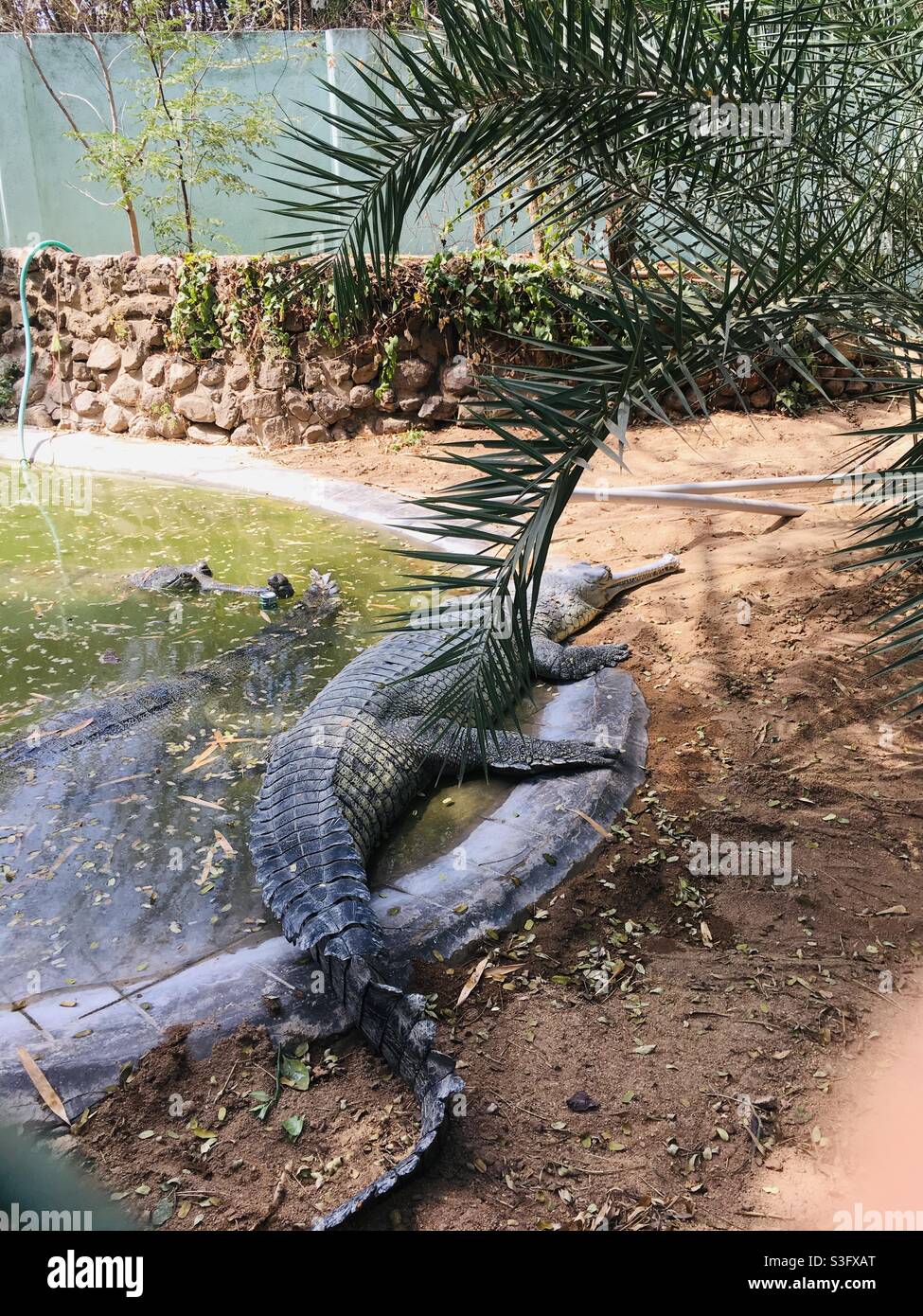 Guindy National Park And Snake Park