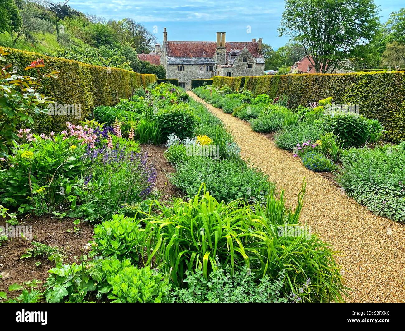 Mottistone gardens. Isle of Wight Stock Photo - Alamy