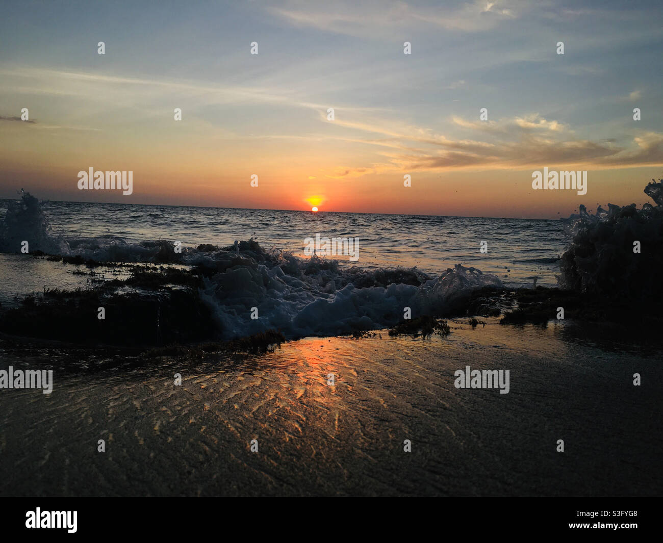 Chilaw hi-res stock photography and images - Alamy