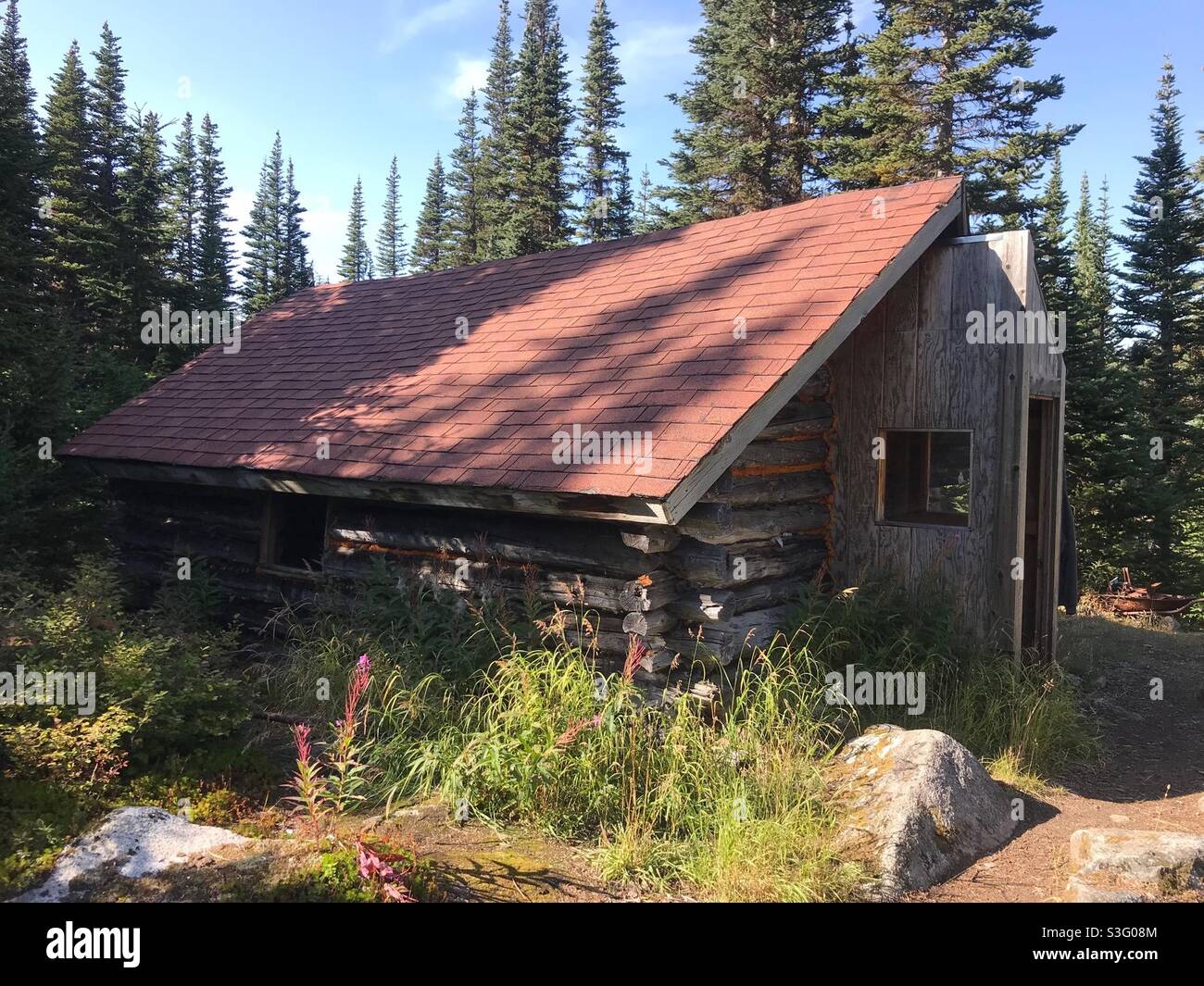Blue cabin trees hi-res stock photography and images - Alamy
