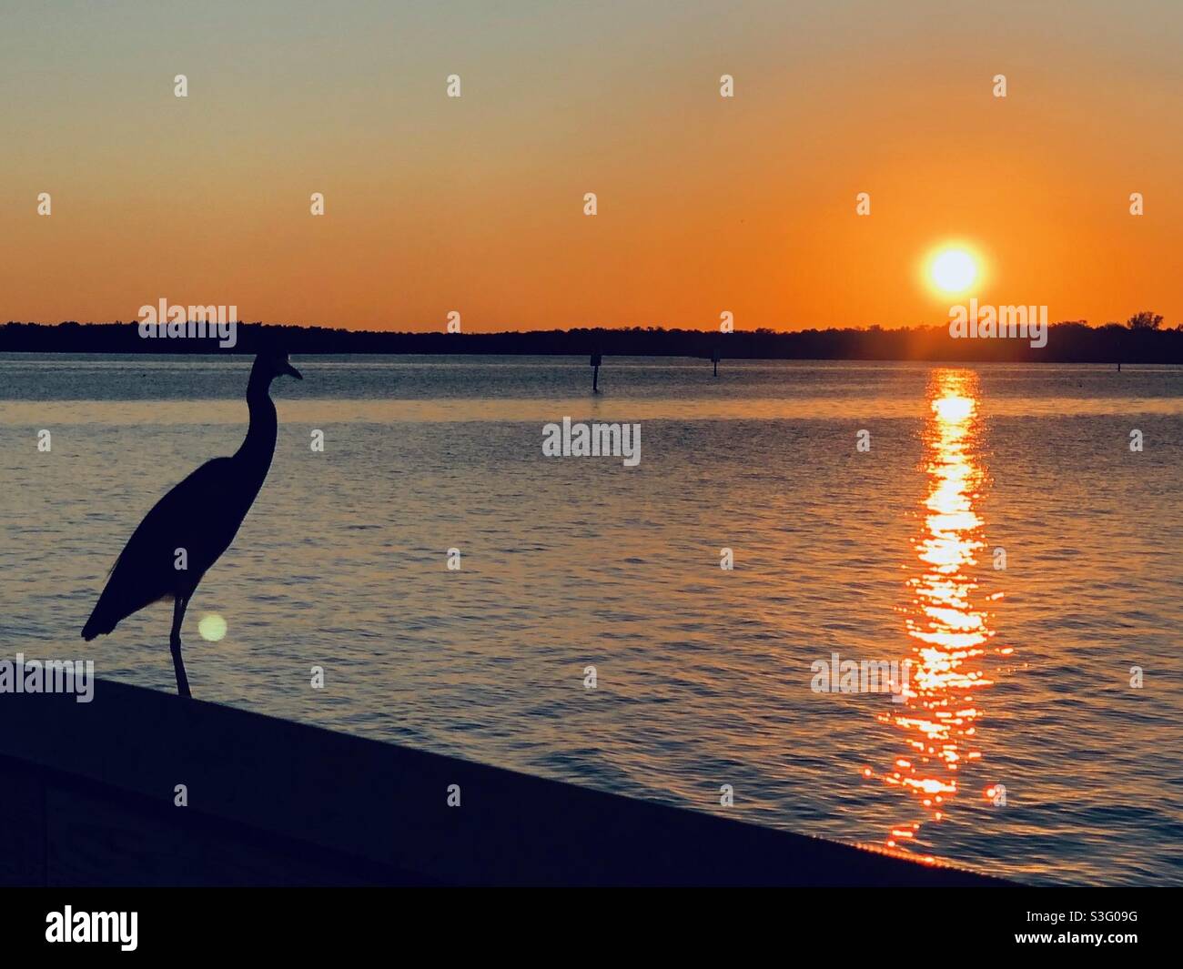 Birds watching sunset hi-res stock photography and images - Alamy