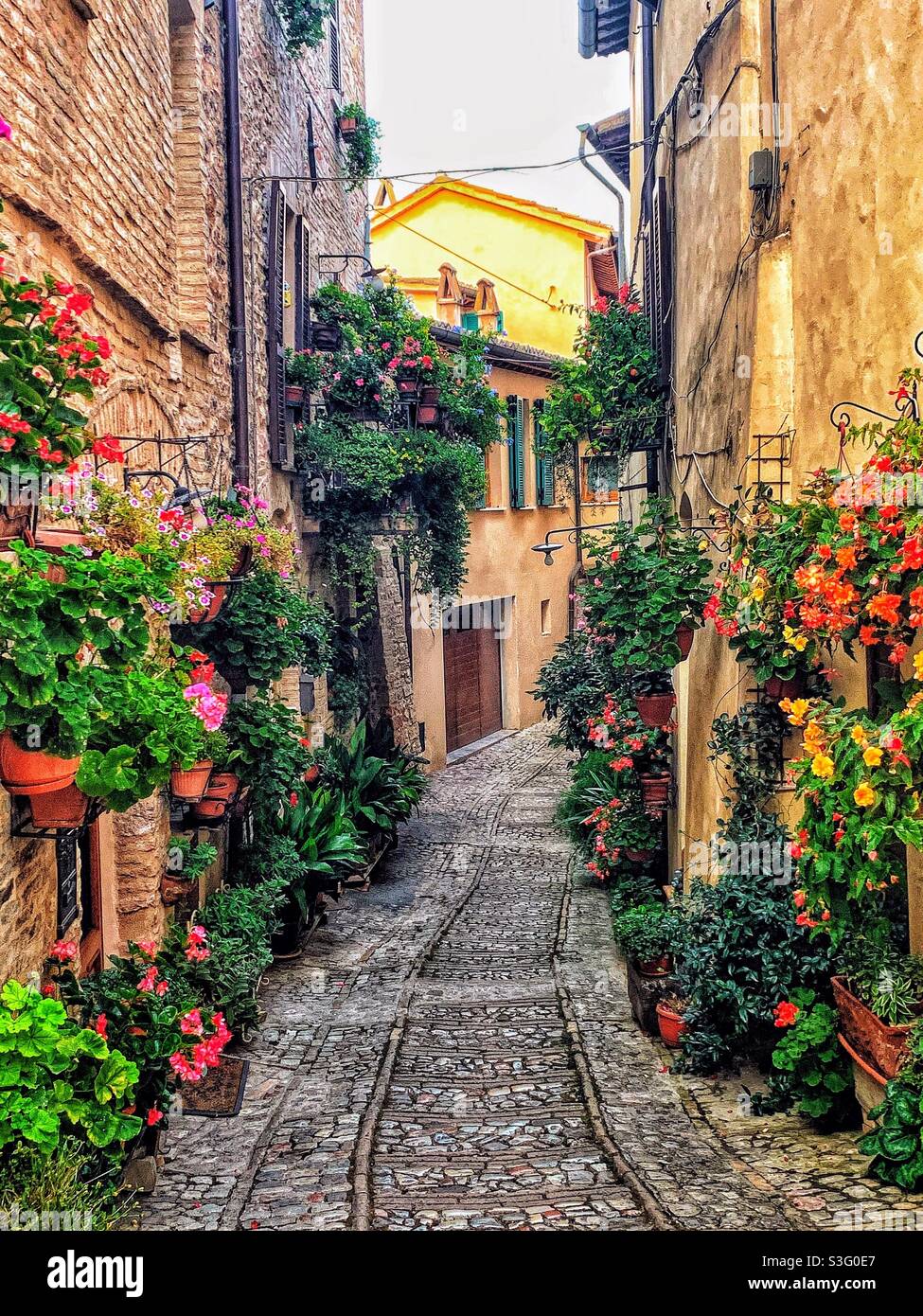 Floral street hi-res stock photography and images - Alamy