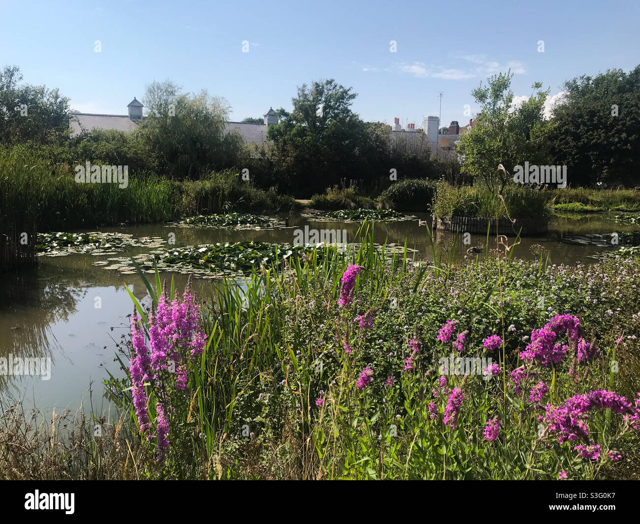 Rottingdean brighton hi-res stock photography and images - Alamy
