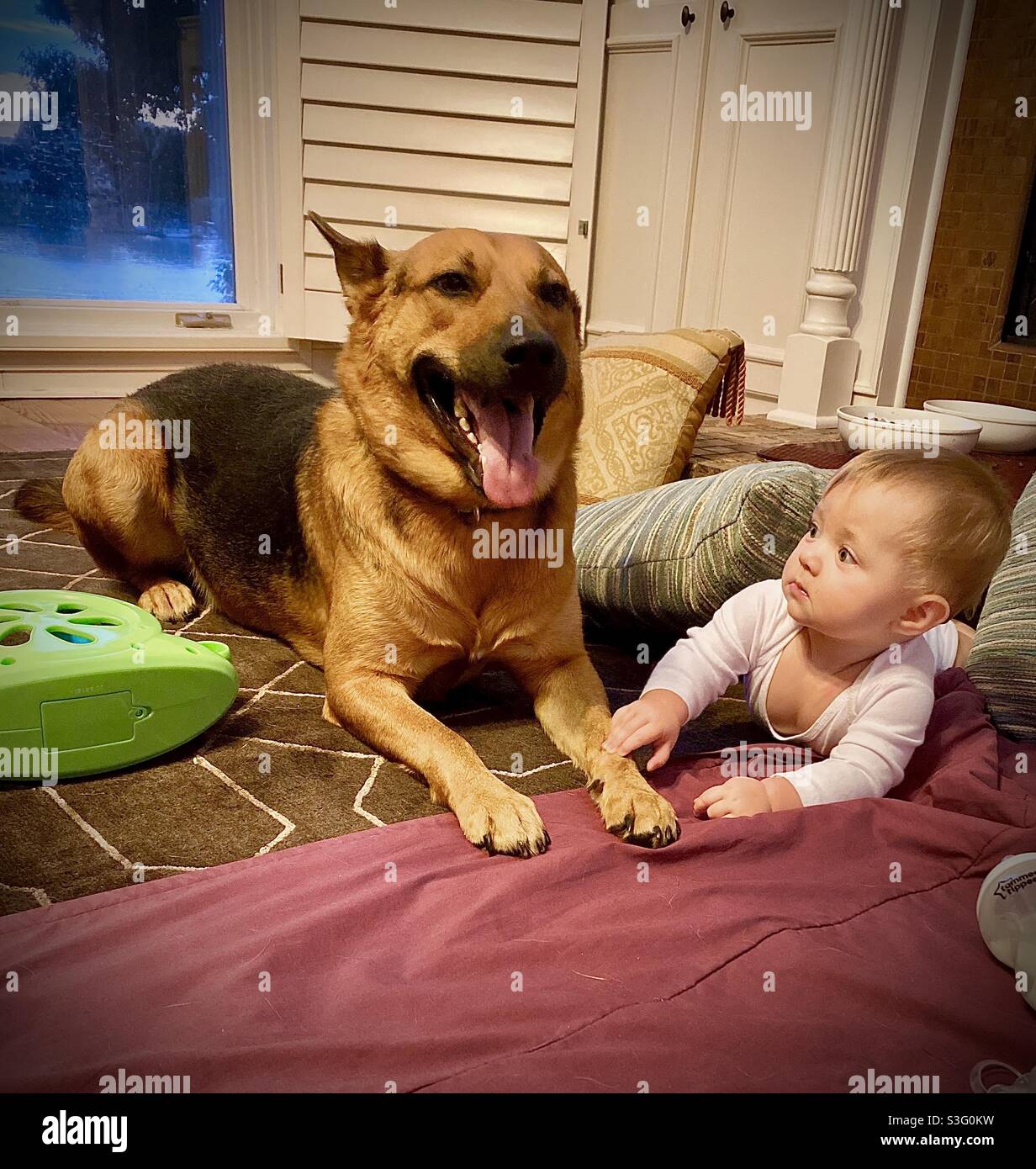 Buddies hi-res stock photography and images - Alamy