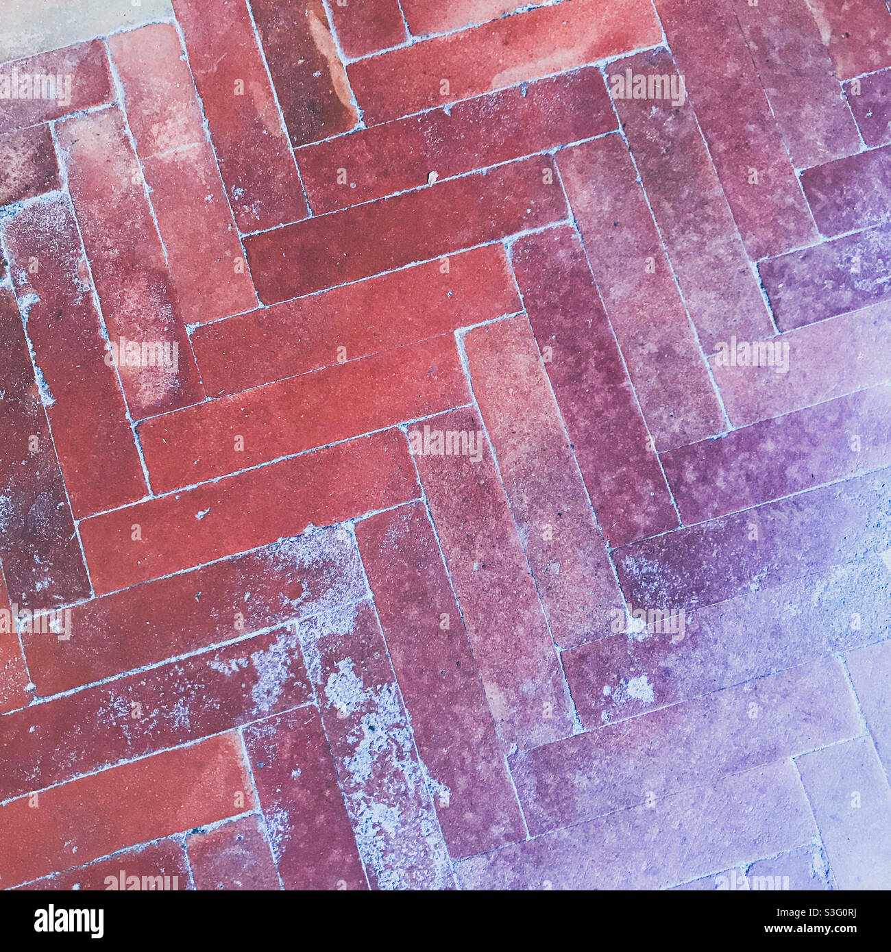 Pink floor tiles hi-res stock photography and images - Alamy