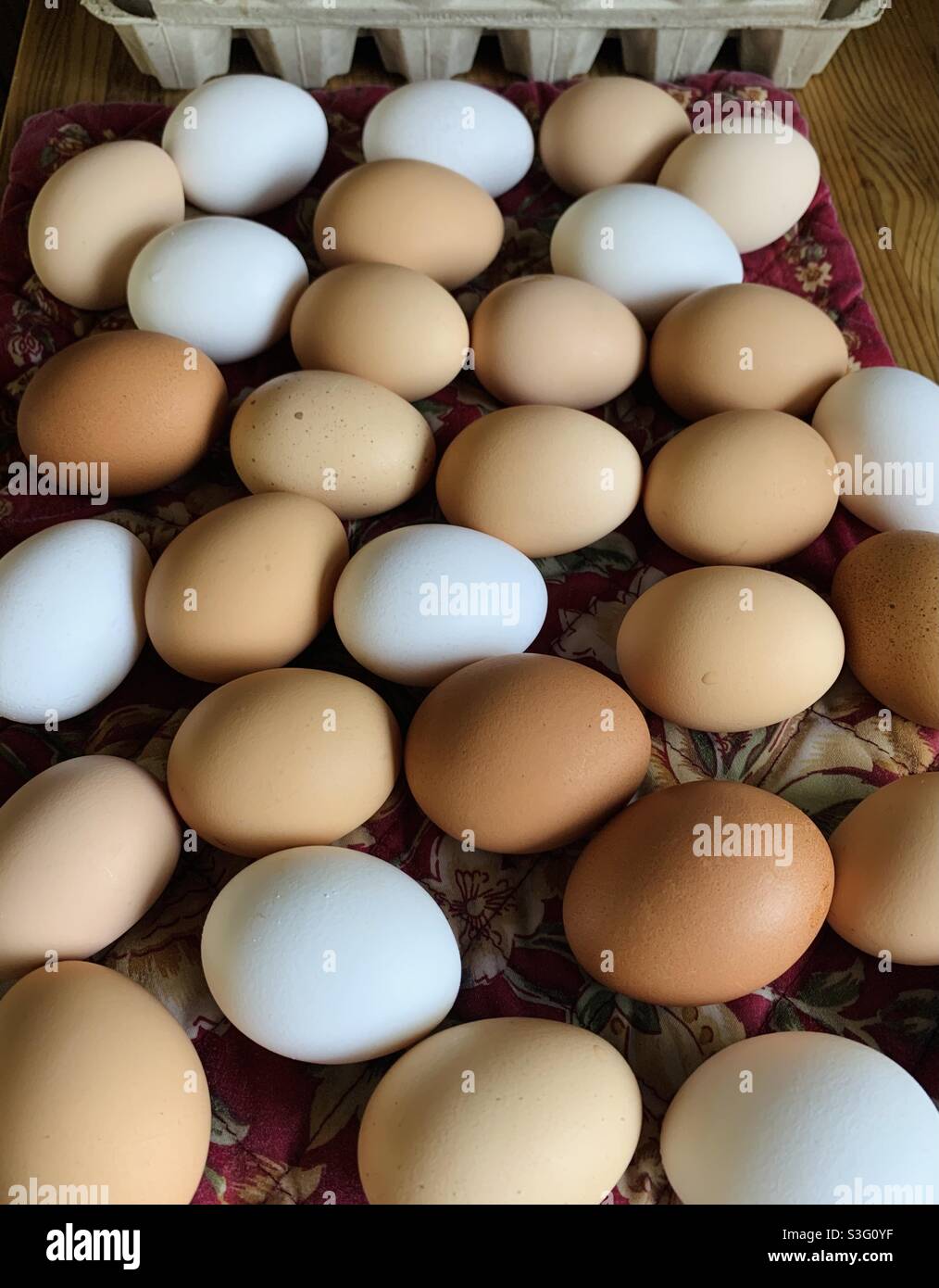 Wash farm hi-res stock photography and images - Alamy