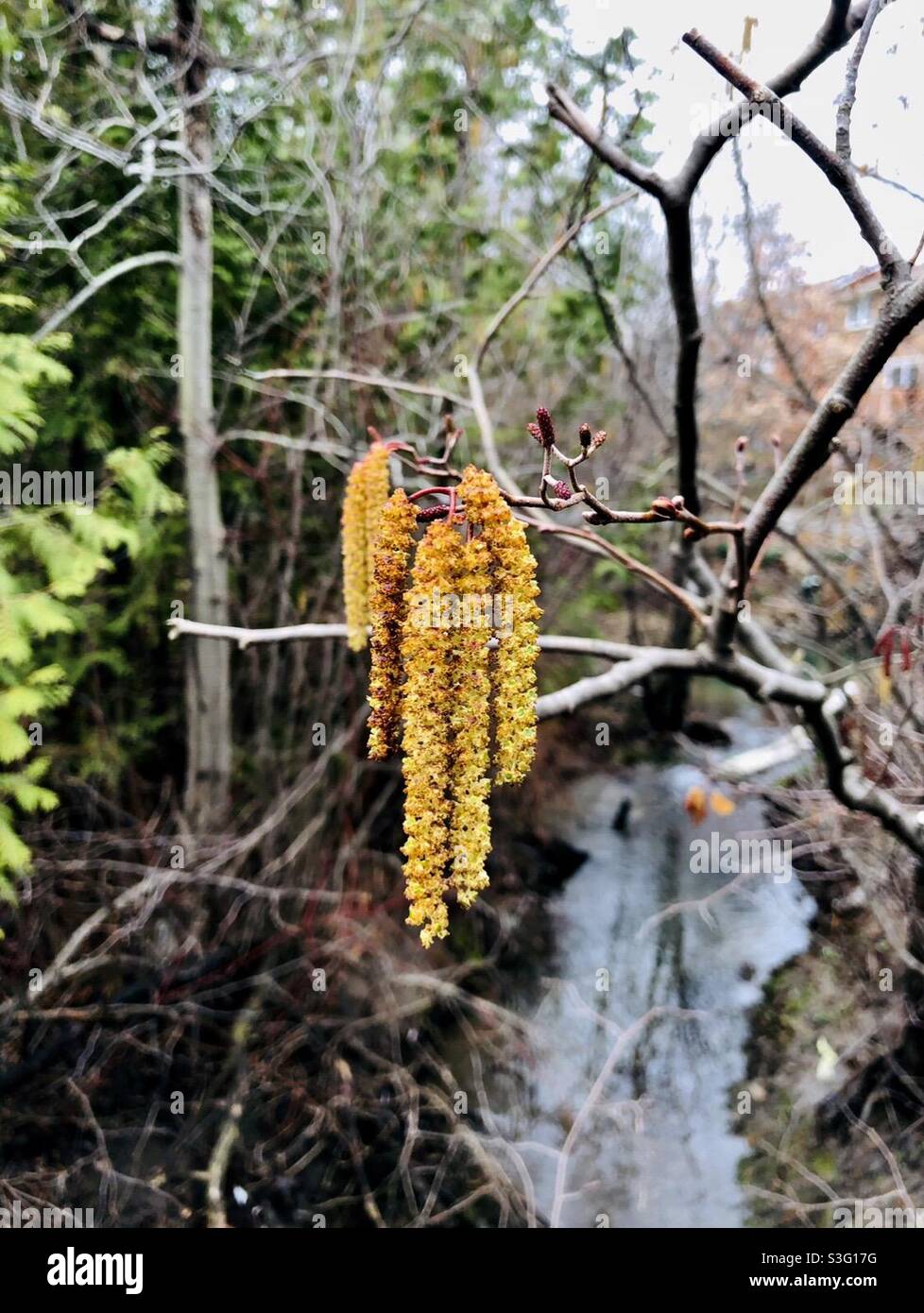 Flower chain hi-res stock photography and images - Alamy
