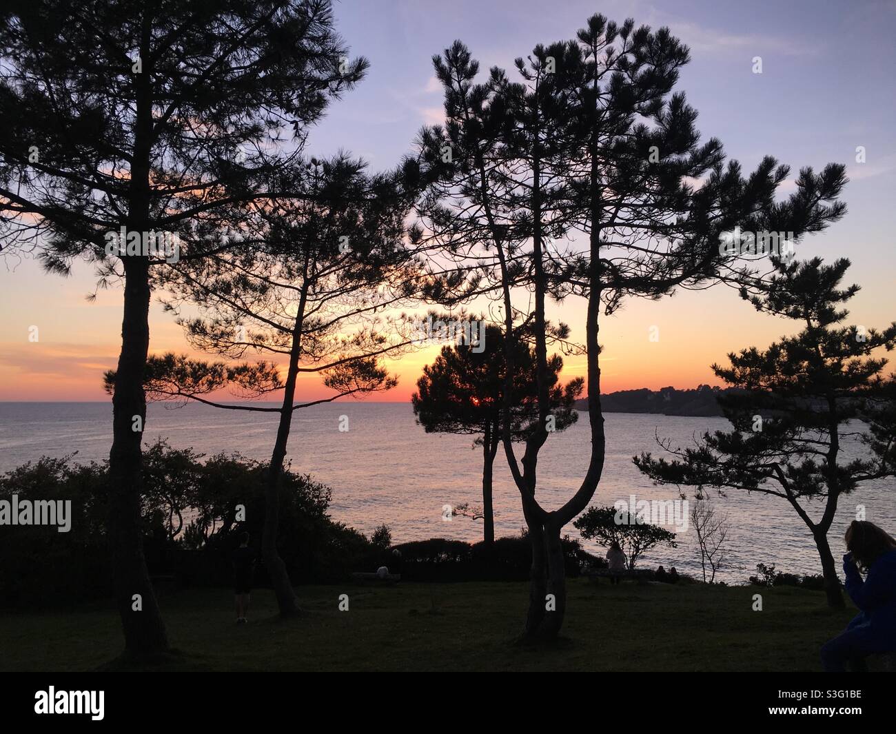 Arbre couleur hi-res stock photography and images - Alamy