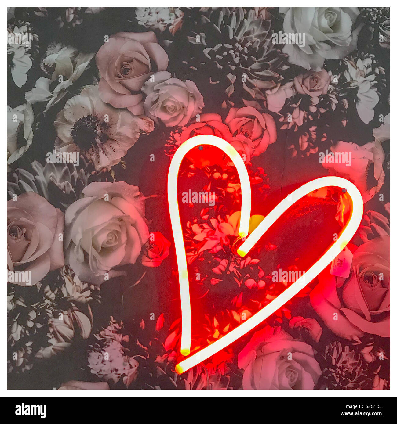 Neon heart hi-res stock photography and images - Alamy