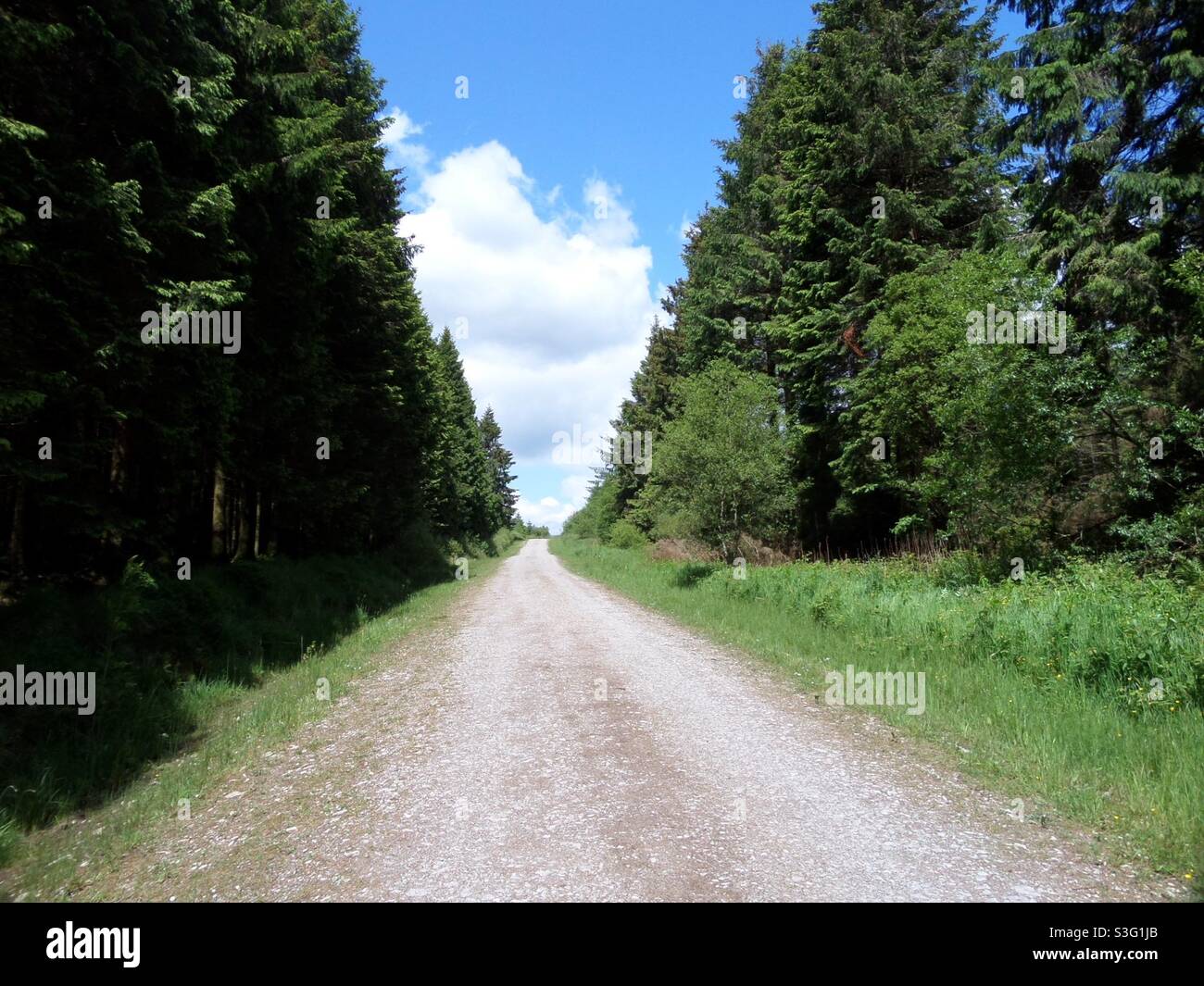 Garw hi-res stock photography and images - Alamy